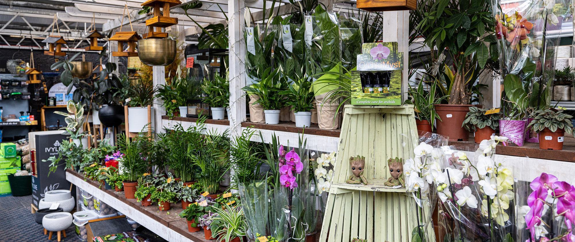 Spring Green Nurseries