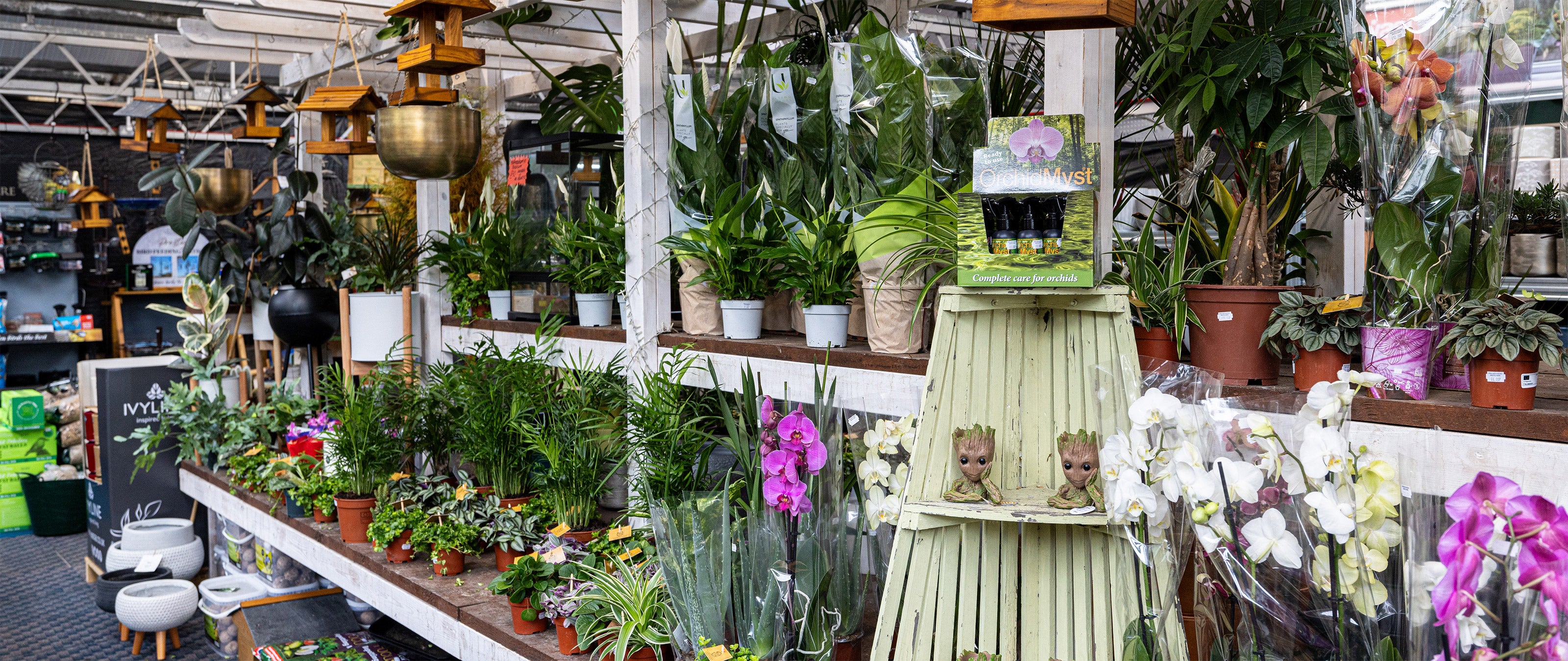 Spring Green Nurseries