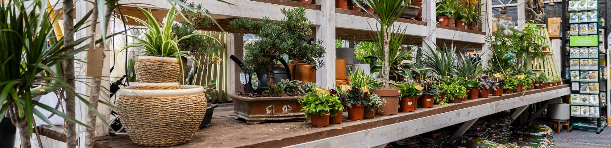 Opening Times – Spring Green Nurseries